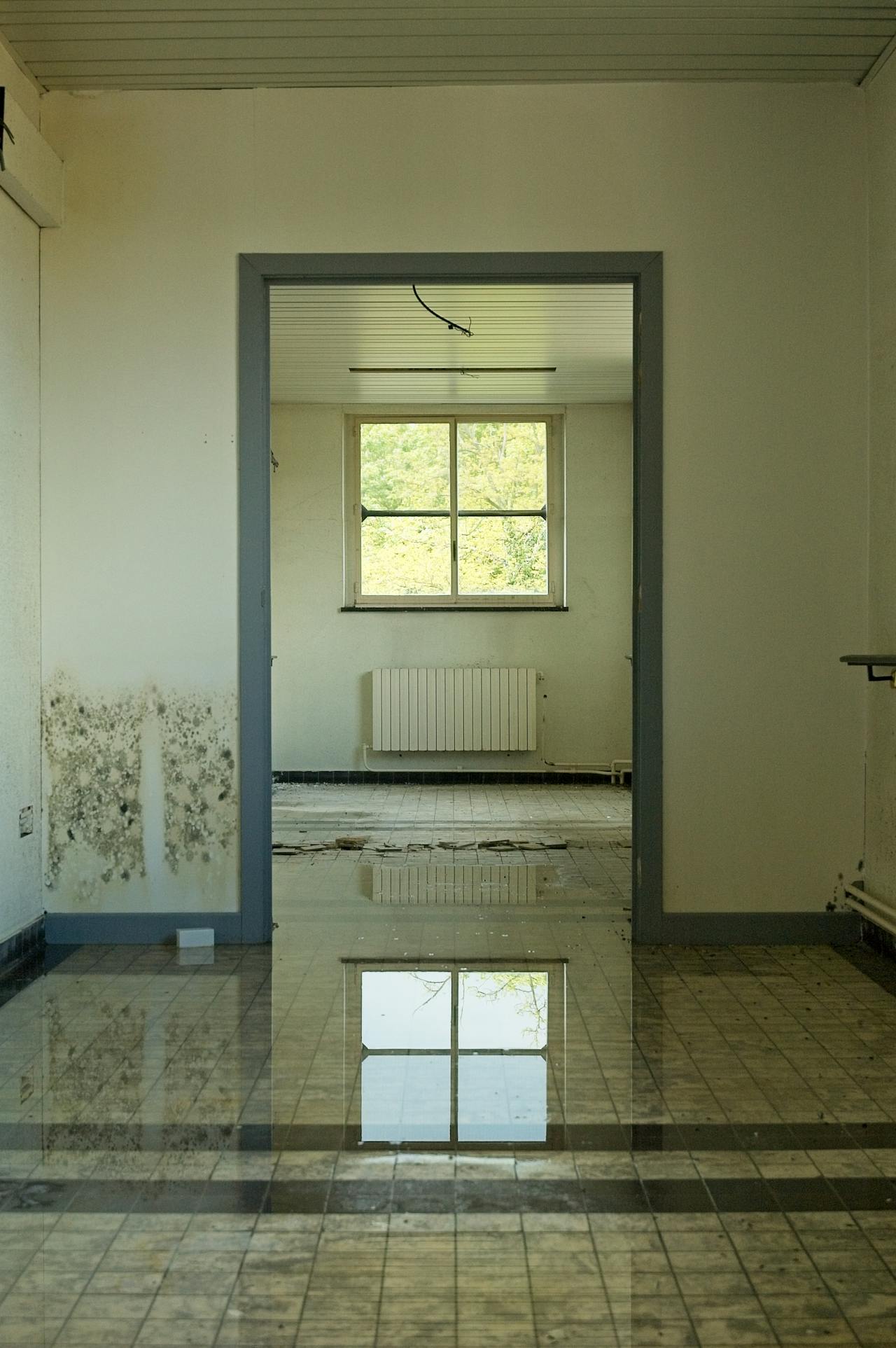 Internal Water Damage: 5 Scary Signs | ADRI